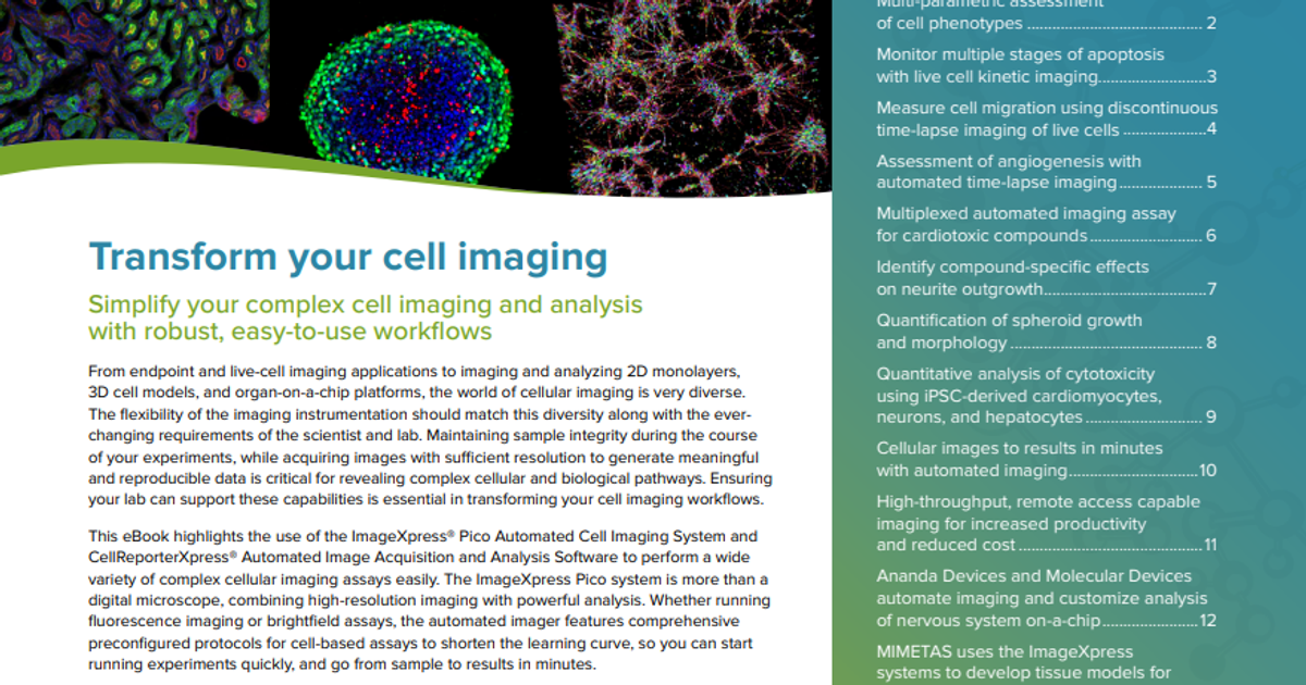 Transform your cell imaging
