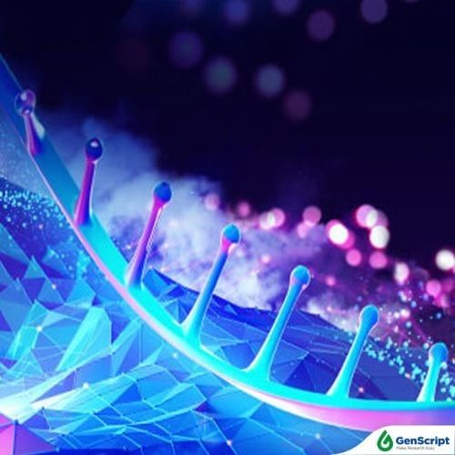 Self-amplifying RNA Synthesis