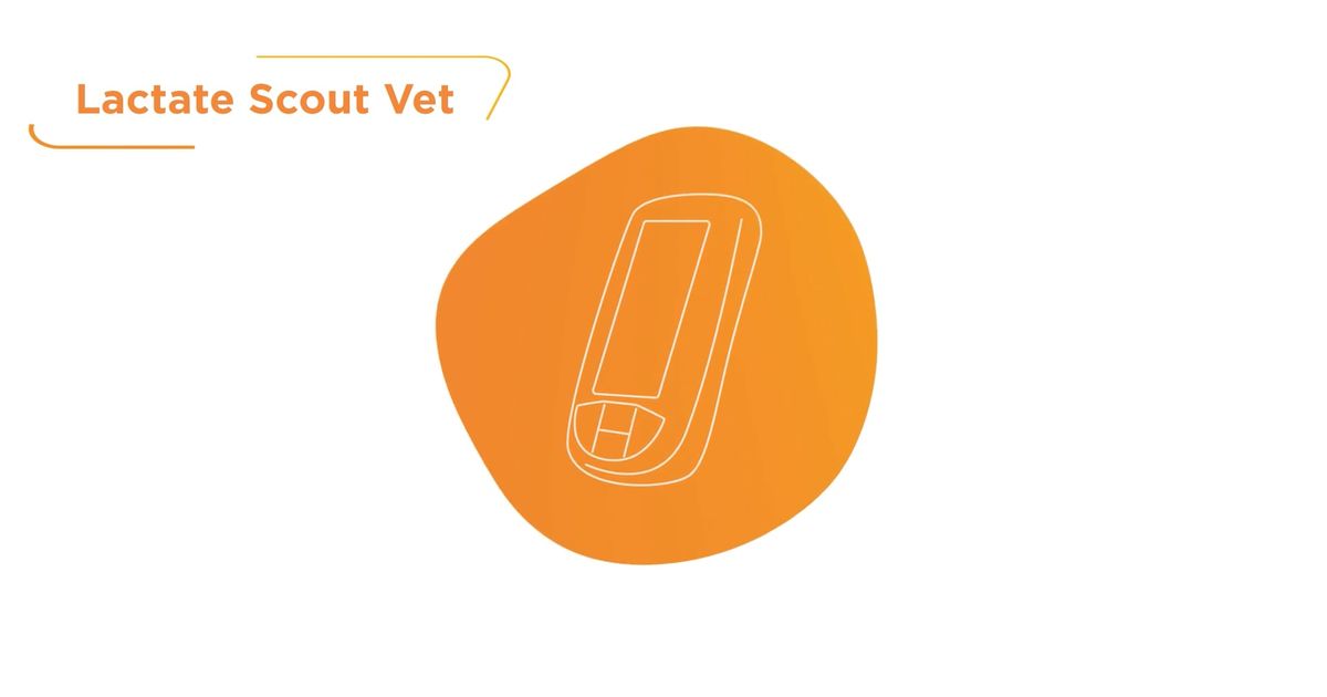 Lactate Scout Vet analyzer