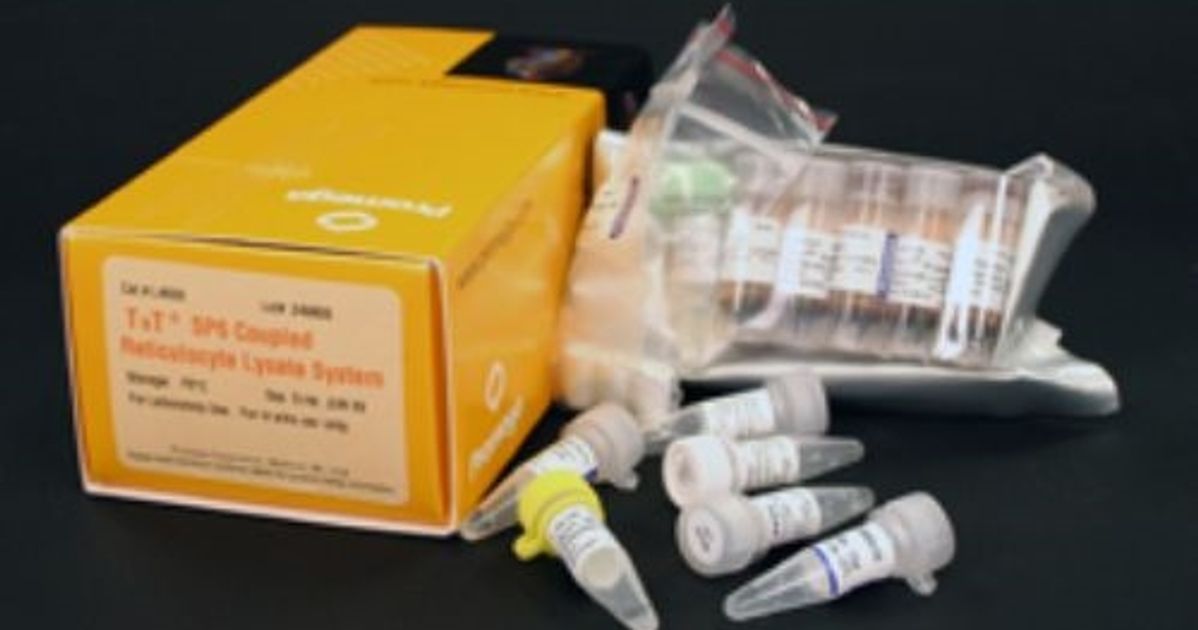 TNT® Coupled Reticulocyte Lysate Systems (cell free protein expression)