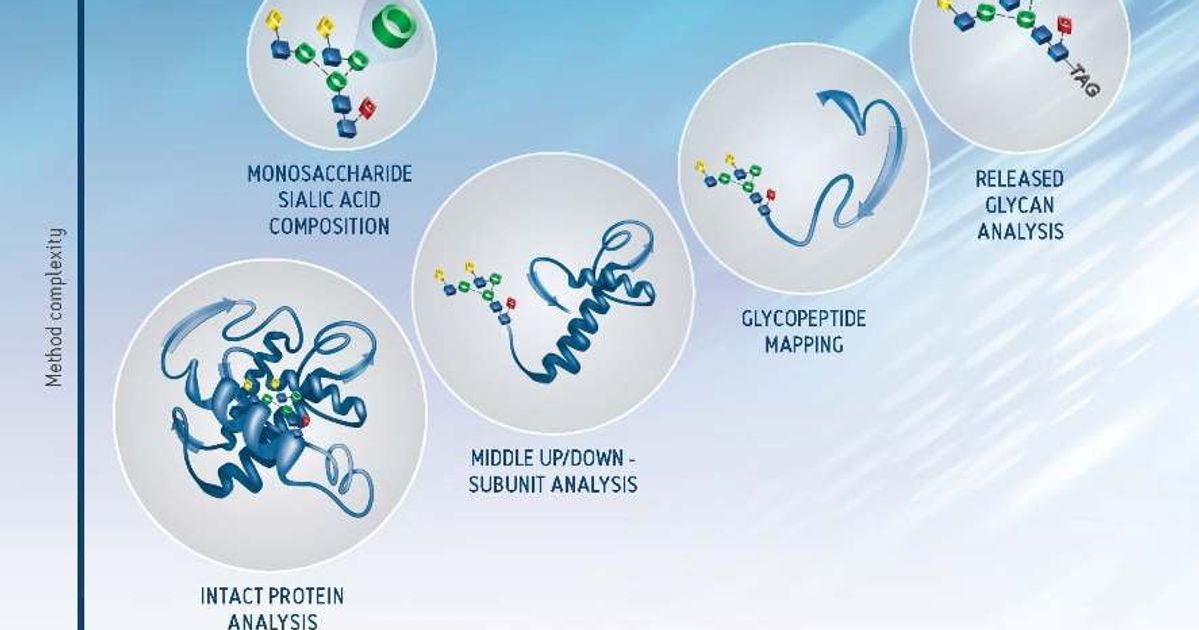 XBridge Glycan BEH Amide Column reviews
