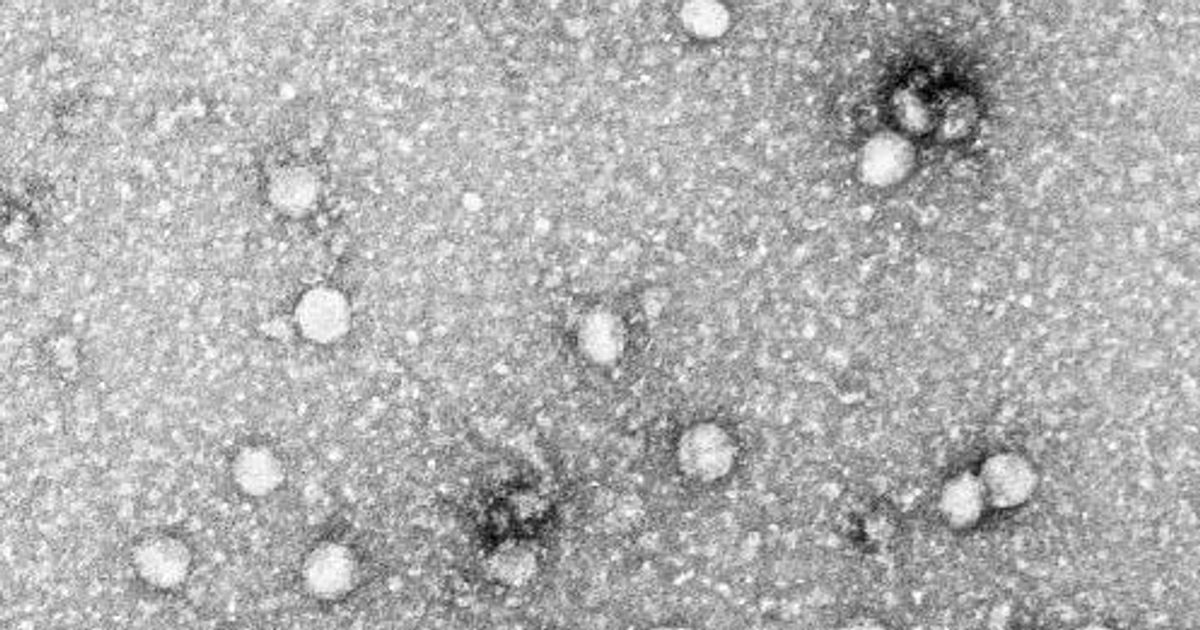 SmartSEC™ Mini EV Isolation System reviews