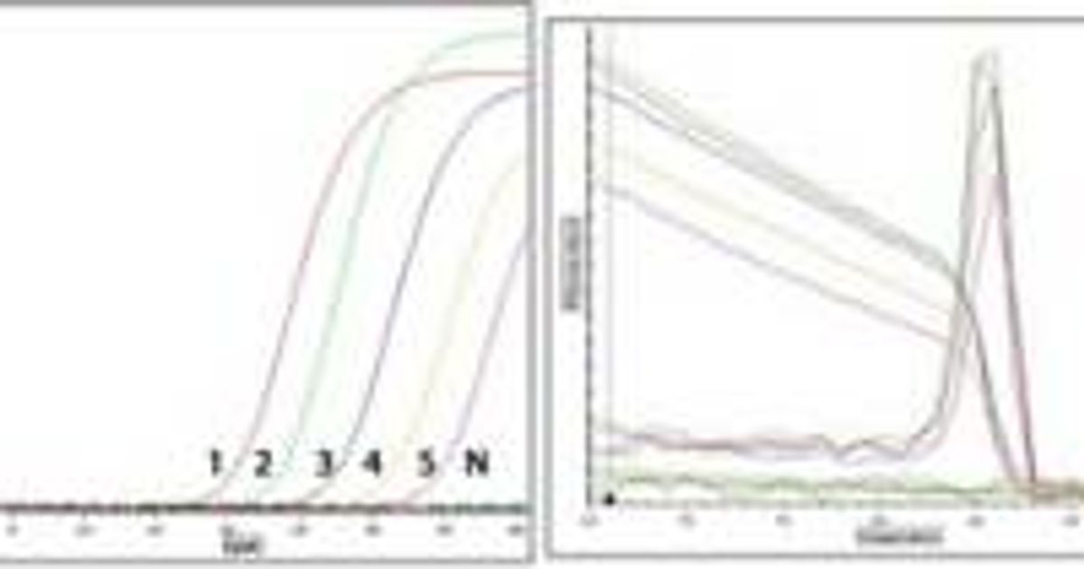 AccuTarget™ Real-Time PCR Primer Library