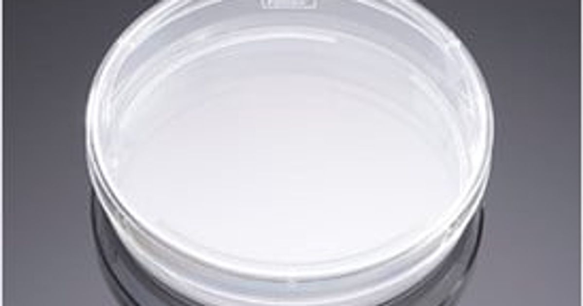 Corning® BioCoat™ Laminin 100 mm TC-treated Culture Dishes, 5/Pack, 10 ...