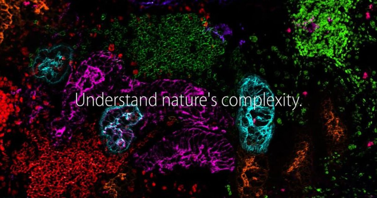 MACSima Imaging Platform launch