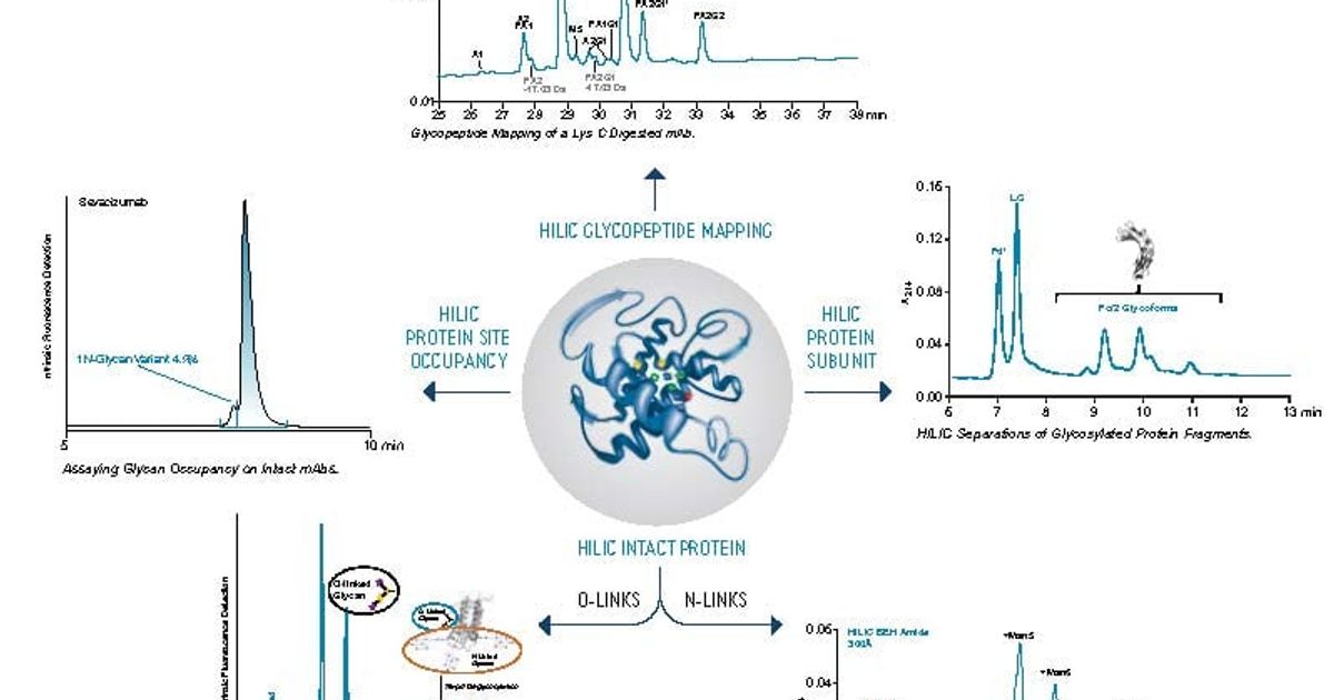 ACQUITY UPLC Glycoprotein BEH Amide Column reviews