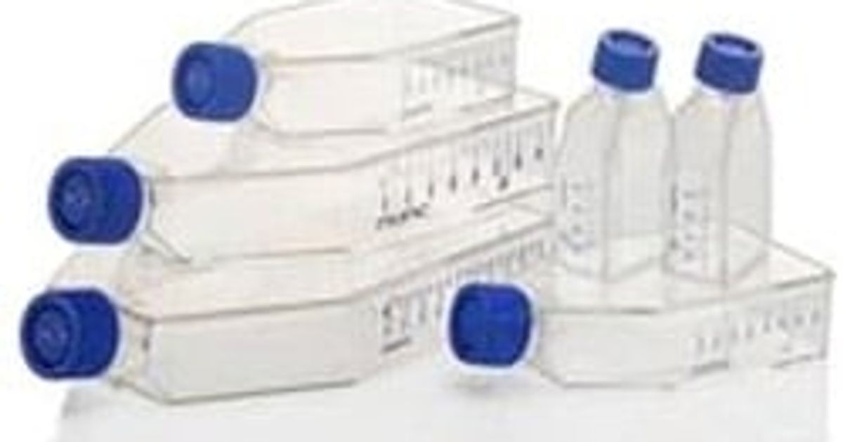 Buy Thermo Scientific™ Nunc™ Cell Culture Flasks Read Reviews