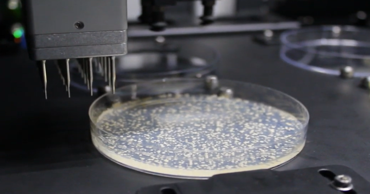 Video: K6 3 colony picker product demo