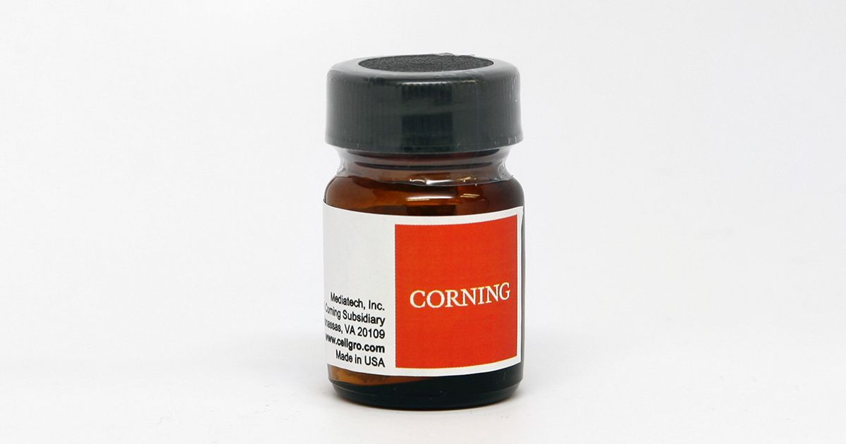 Buy Corning® 25 g Chloramphenicol, Powder Read Reviews