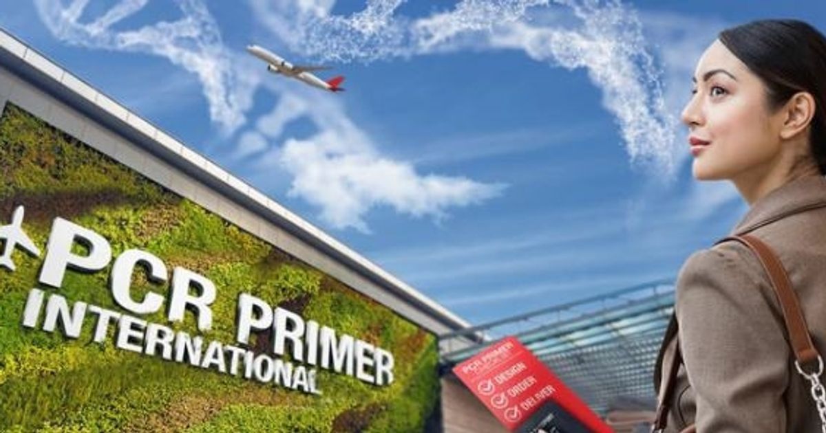 Custom DNA Oligos Synthesis Services