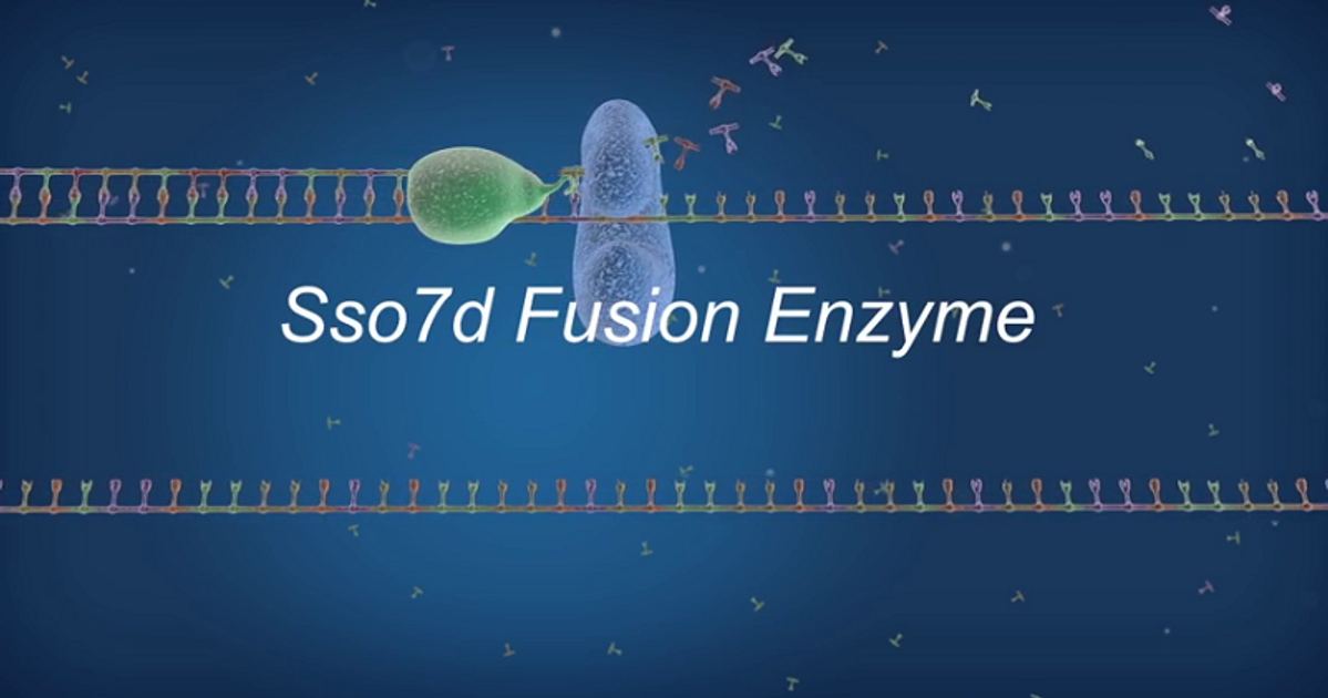 Improve your qPCR Results with High Processivity Sso7d Fusion ...