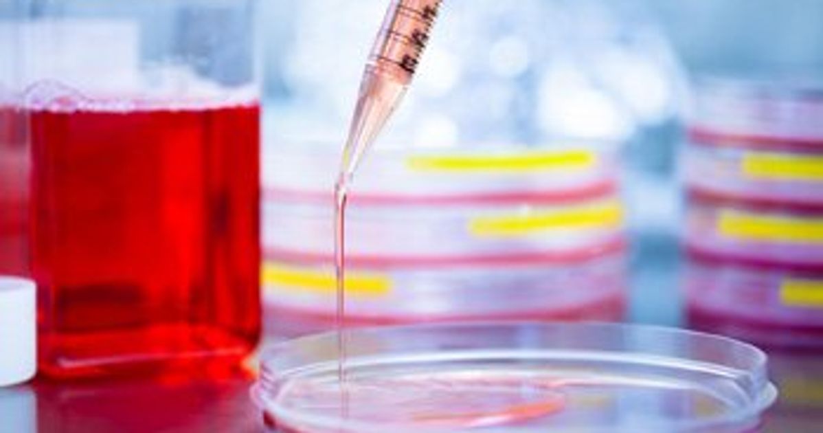 Essential Equipment for Cell Culture: Tips and Resources to Improve ...