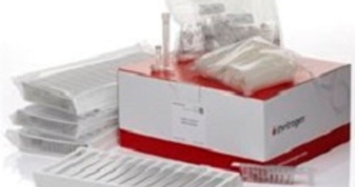 Invitrogen™ iPrep™ PureLink™ gDNA Blood Kit