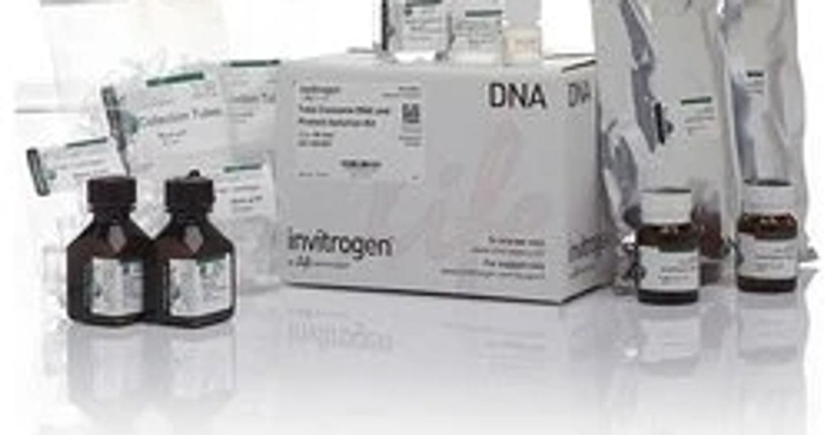 Buy Total Exosome RNA and Protein Isolation Kit Read Reviews