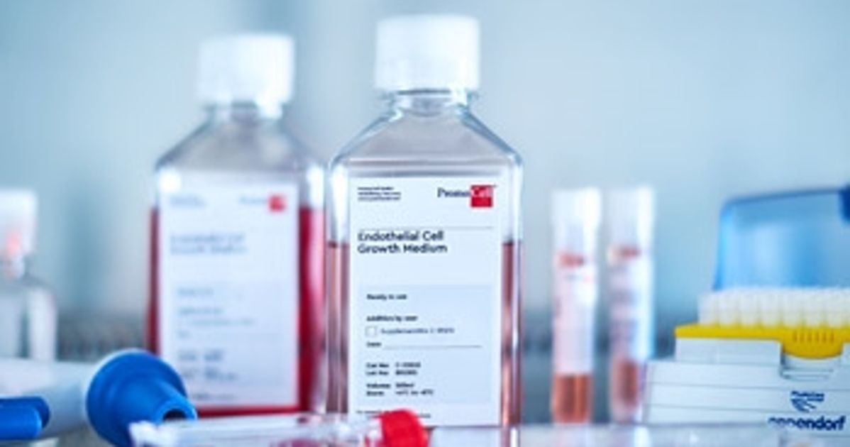 PromoCell GmbH receives EXCiPACT certification as manufacturer of ...