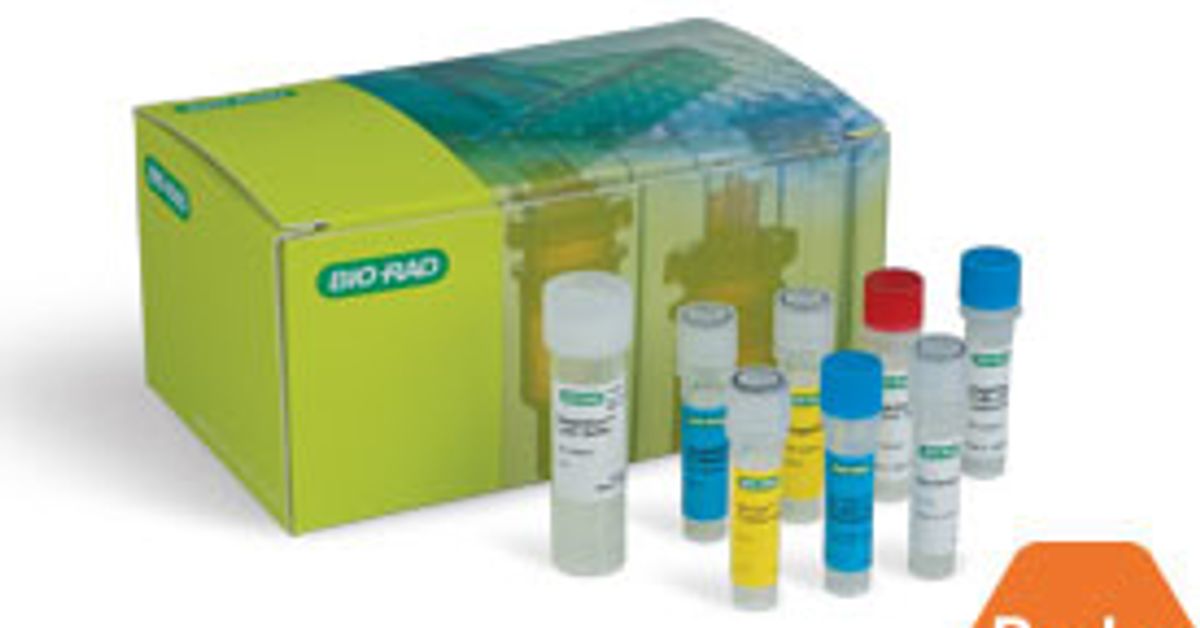 Buy SingleShot™ Probes One-Step Kit for Cell Lysis and RT-qPCR, 100 x ...