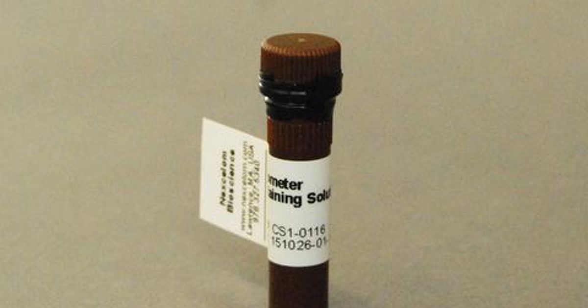 PI Staining Solution for Apoptosis