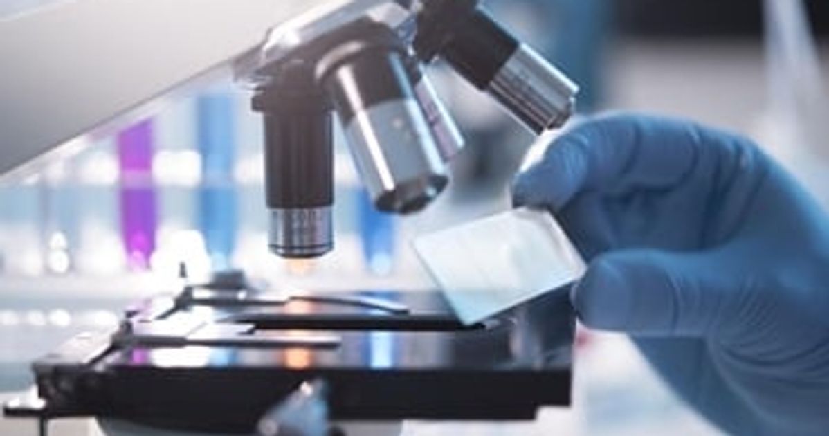 University of Minnesota opens clinical trial to treat metastatic GI ...