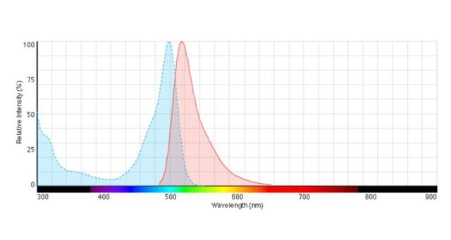 CellTrace™ CFSE Cell Proliferation Kit reviews