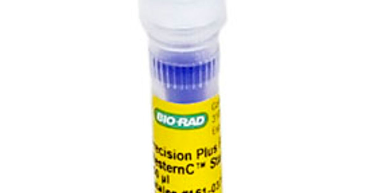 Precision Plus Protein WesternC Blotting #1610376 reviews