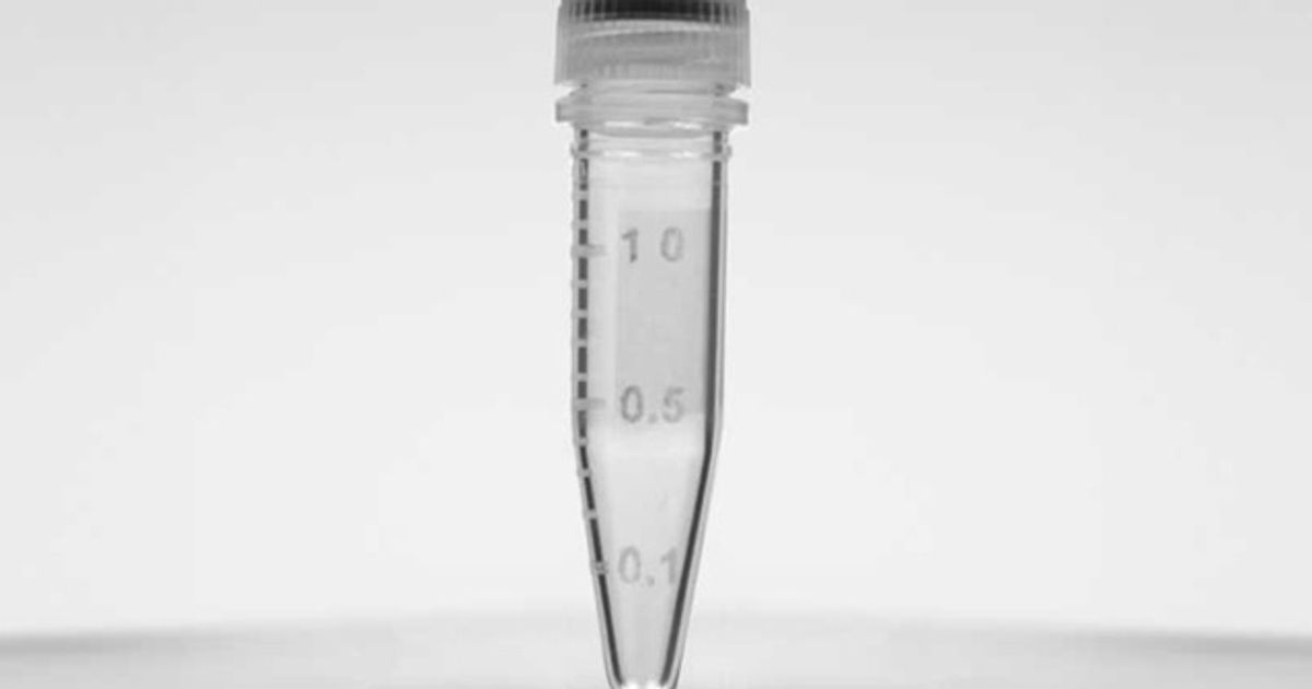 Buy 1.5mL Assembled Screw Cap Tubes, Conical Base, Graduations, Writing ...