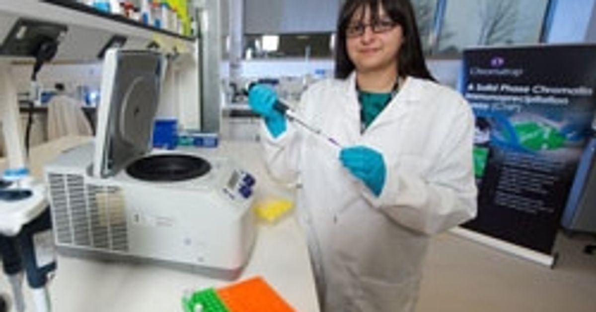 New and Improved ChIP Assay Kit Released