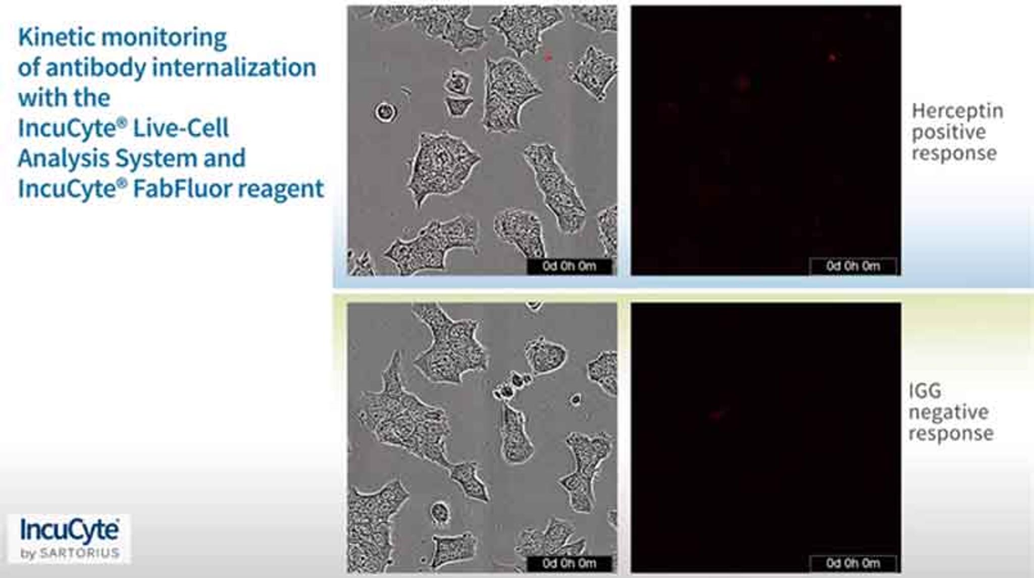 Buy Incucyte® Live-Cell Analysis Systems Read Reviews