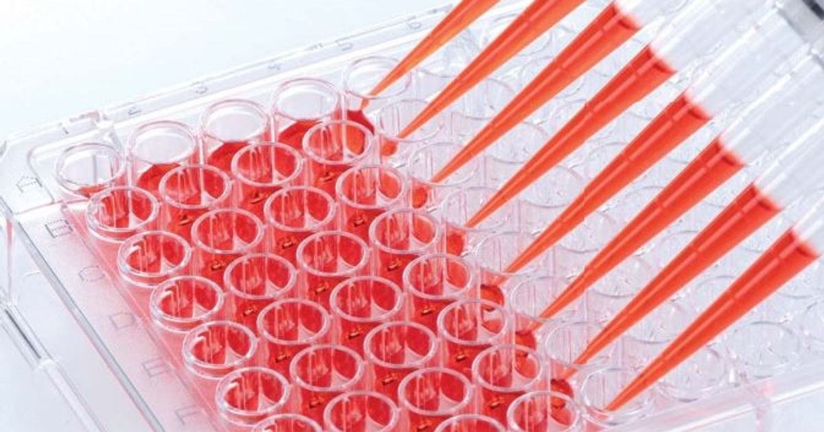 BIOFLOAT™ Spheroid Culture