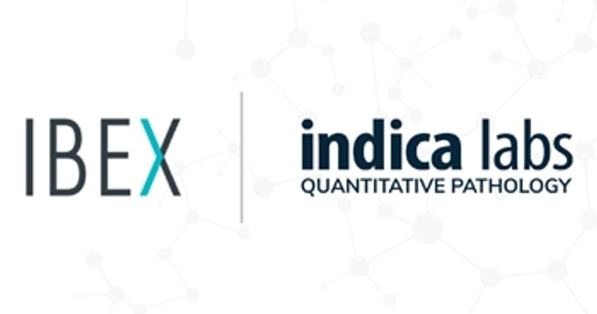 Indica Labs and Ibex partner to deliver AI-powered clinical workflows ...