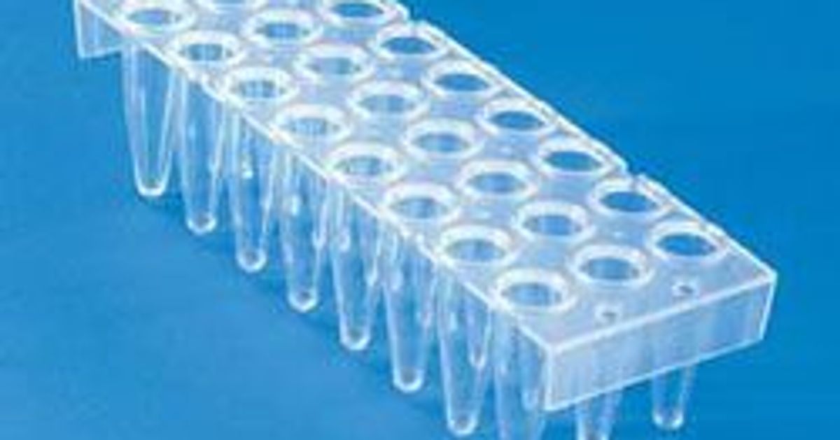 Thermo Scientific 24-Well PCR Plates