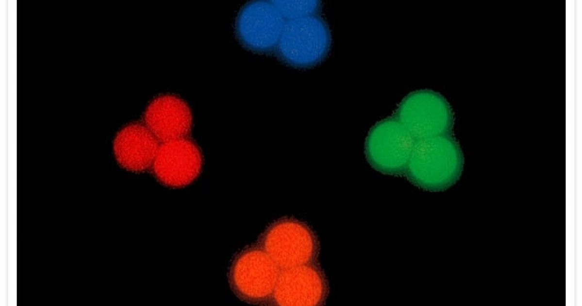 TetraSpeck™ Microspheres, 0.1 µm, fluorescent blue/green/orange/dark ...
