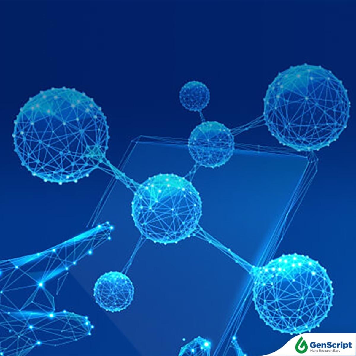 AmMag™ Quatro Automated Maxi-Scale Plasmid Purification System