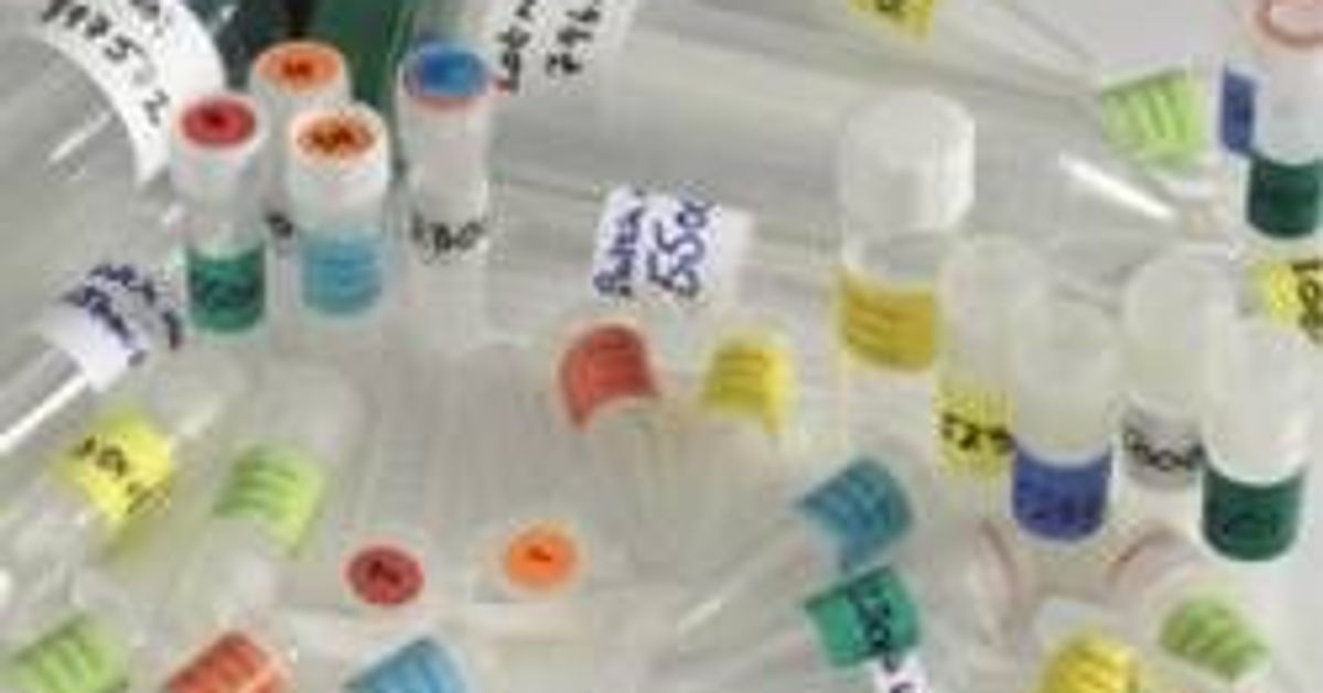 Versatile, chemically inert laboratory labels