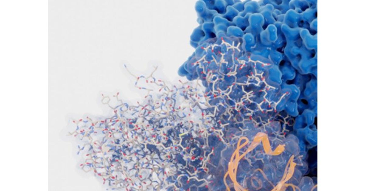 Customized Enzyme Development & Compound Profiling Services