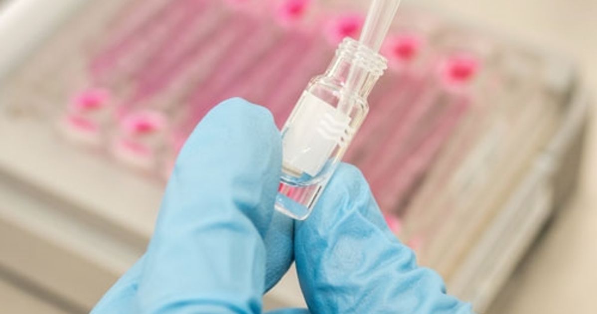 Drug Metabolism and Safety Toxicity Testing Services reviews