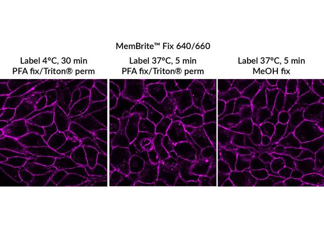 MemBrite® Fix Cell Surface Staining Kits reviews