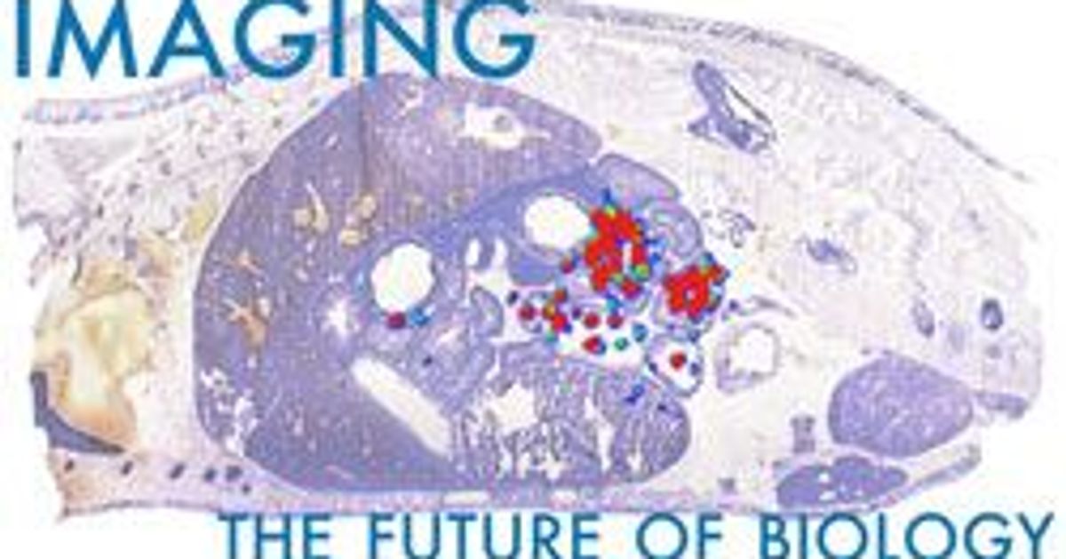 Extended Mass Spec Imaging Services Now Available from Protea Biosciences