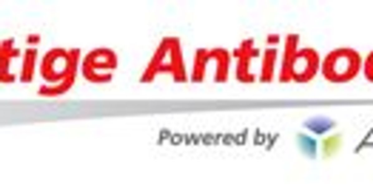 Sigma-Aldrich and Atlas Antibodies Establish Exclusive Distribution ...
