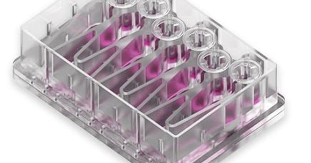 Multi-chip Dual-organ (MPS-TL6) Plates by CN Bio