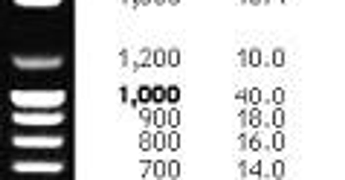 100 bp Plus DNA Ladder, 100 - 10,200 bp, 2,500 µl (80.7 ng/µl)