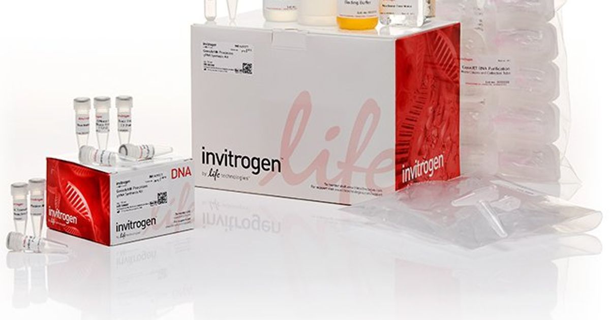 Invitrogen™ GeneArt™ Precision gRNA Synthesis Kit | SelectScience