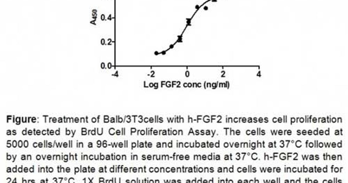 BrdU Cell Proliferation Assay Kit reviews
