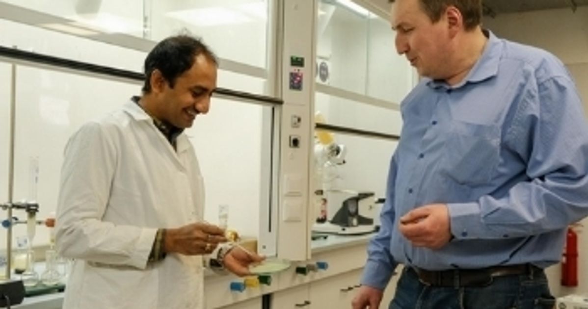 Scientists created edible food films for food packaging