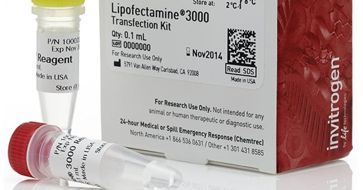 Invitrogen™ Lipofectamine® 3000 Transfection Reagent reviews