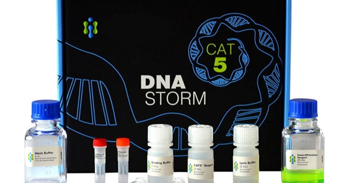CELLDATA DNAstorm FFPE DNA Extraction Kit reviews