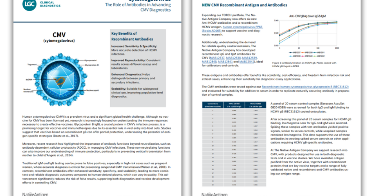 Cytomegalovirus: The role of antibodies in advancing CMV diagnostics