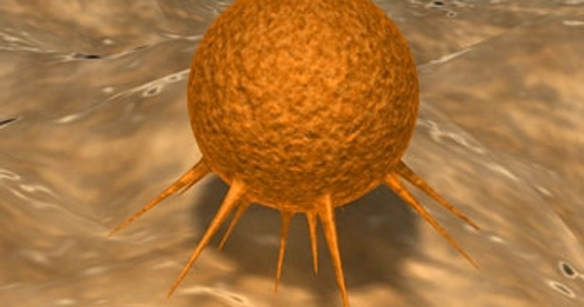 Study Sheds Light on How Body May Detect Early Signs of Cancer