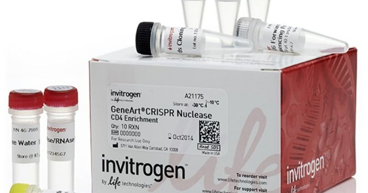 Invitrogen™ GeneArt™ CRISPR Nuclease Vector with CD4 Enrichment Kit reviews