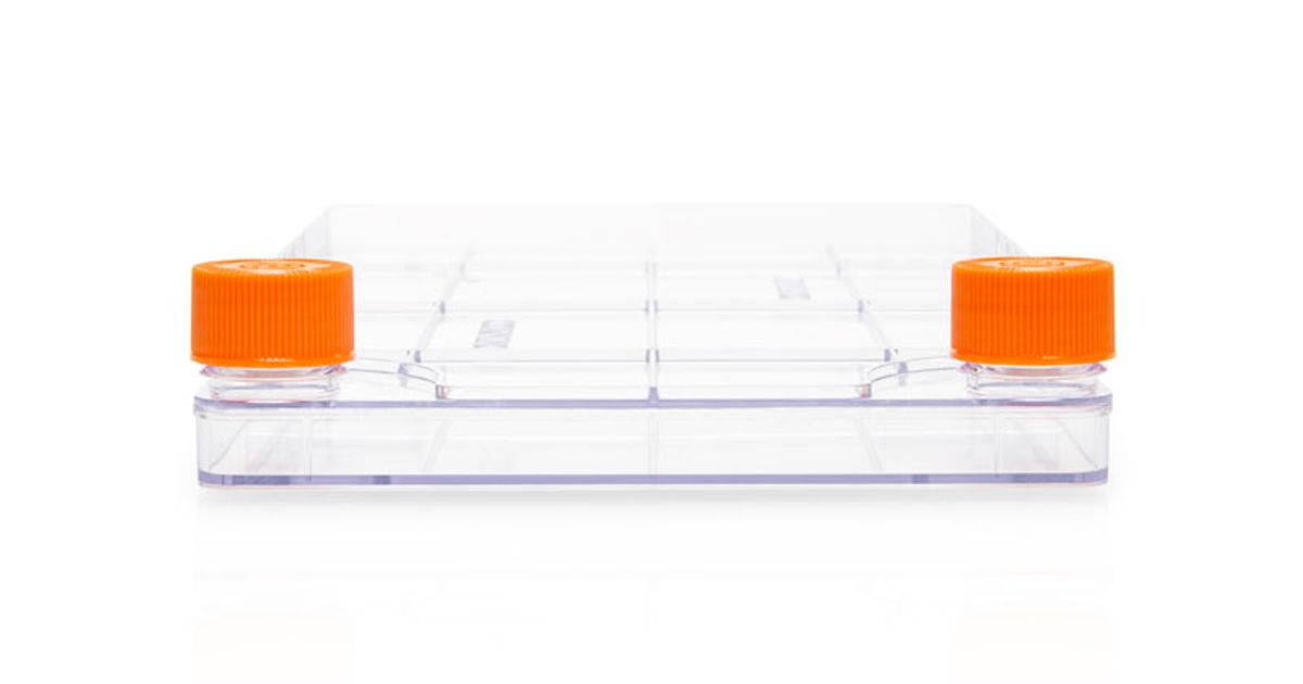 Buy Polystyrene CellSTACK® - 1 Chamber with Vent Caps, 8 per Case Read ...