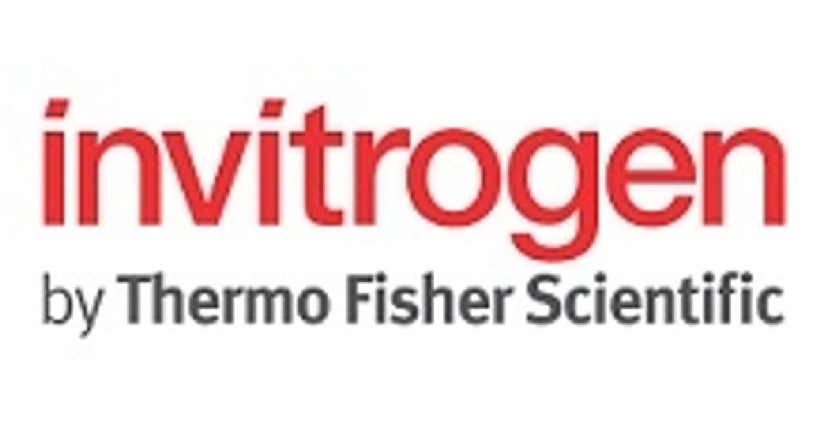 Genome Editing Made Easy: TAL Effector–Mediated Genome Editing